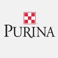 Models Direct Modelling Agency | Hire Models or Become a Model