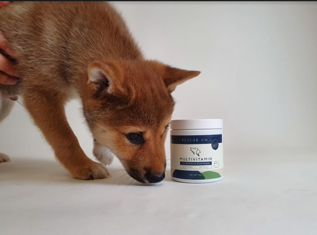Pet Lab Co: Another PETacular Success